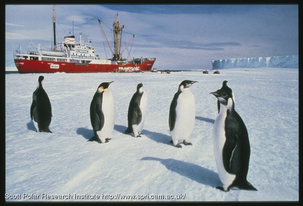 Transglobe expedition: Ranulph Fiennes ‘Vertical’ Circumpolar ...