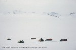 Transglobe expedition: Ranulph Fiennes ‘Vertical’ Circumpolar ...