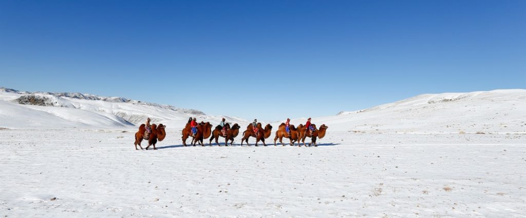 Gobi Cold Camel Expedition: Camel trekking along Mongolia’s ancient ...